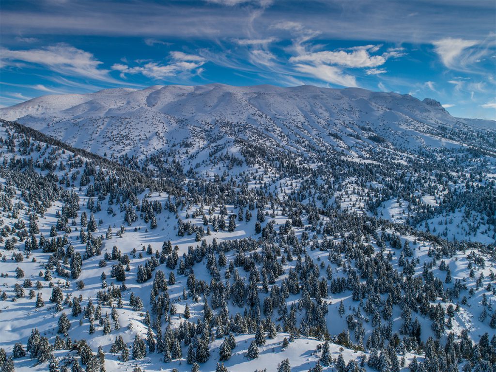 “Akkar”, Mountains, Woods & more – “Akkar Trail” team - The Mountains ...