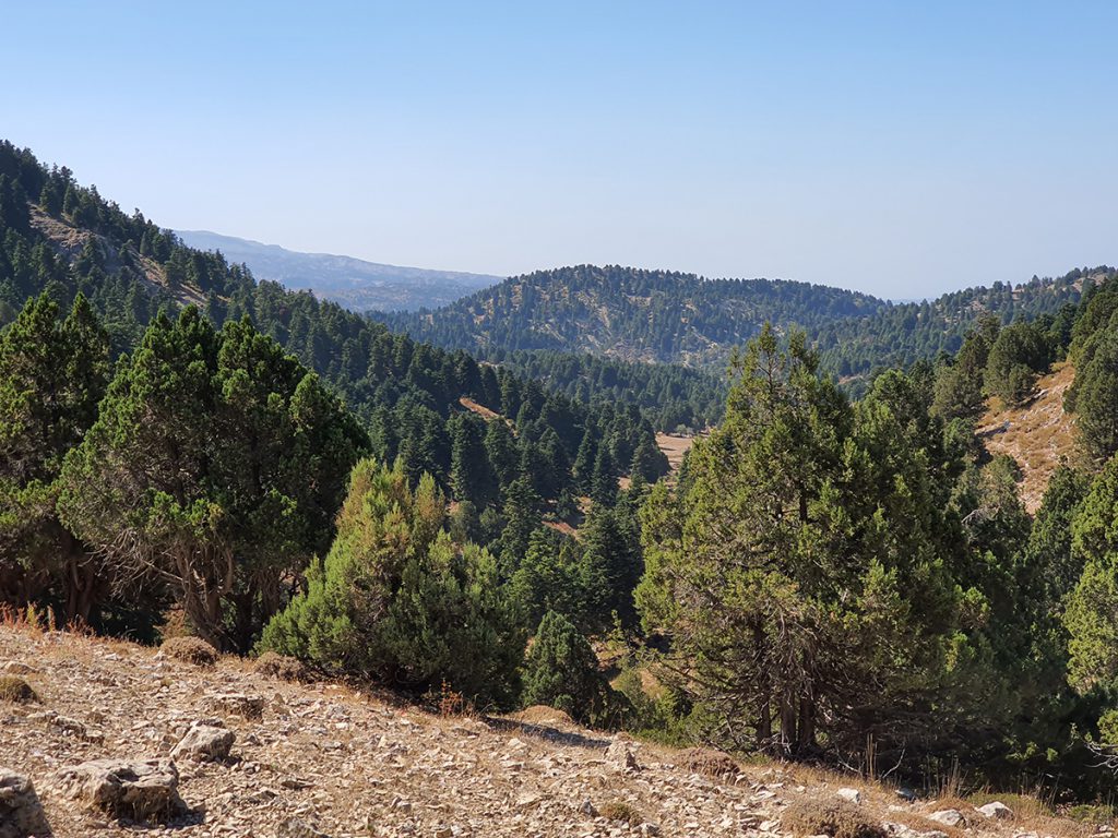 “Akkar”, Mountains, Woods & more – “Akkar Trail” team - The Mountains ...