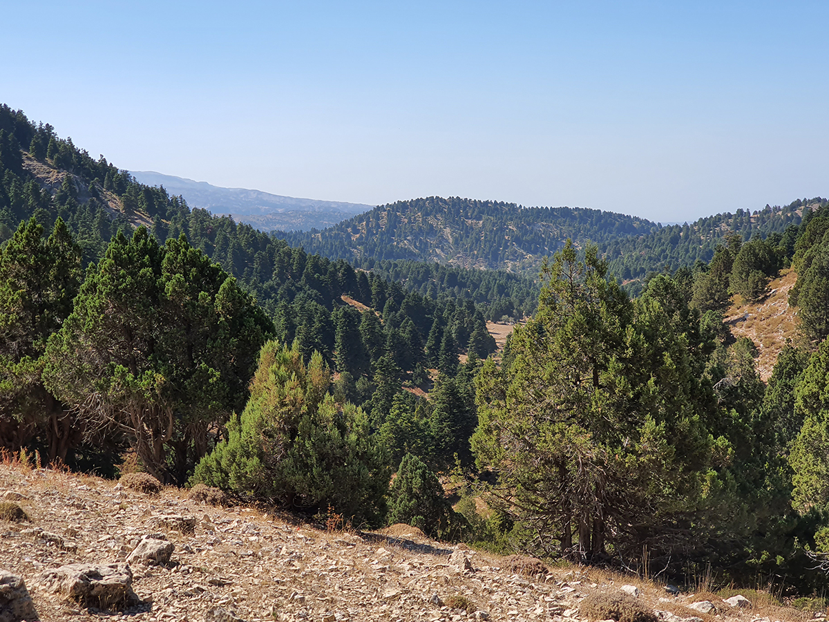 “Akkar”, Mountains, Woods & more – “Akkar Trail” team - The Mountains ...