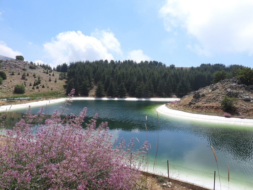 Shouf Biosphere Reserve, Lebanon’s Largest Nature Cedar Reserve! - The ...