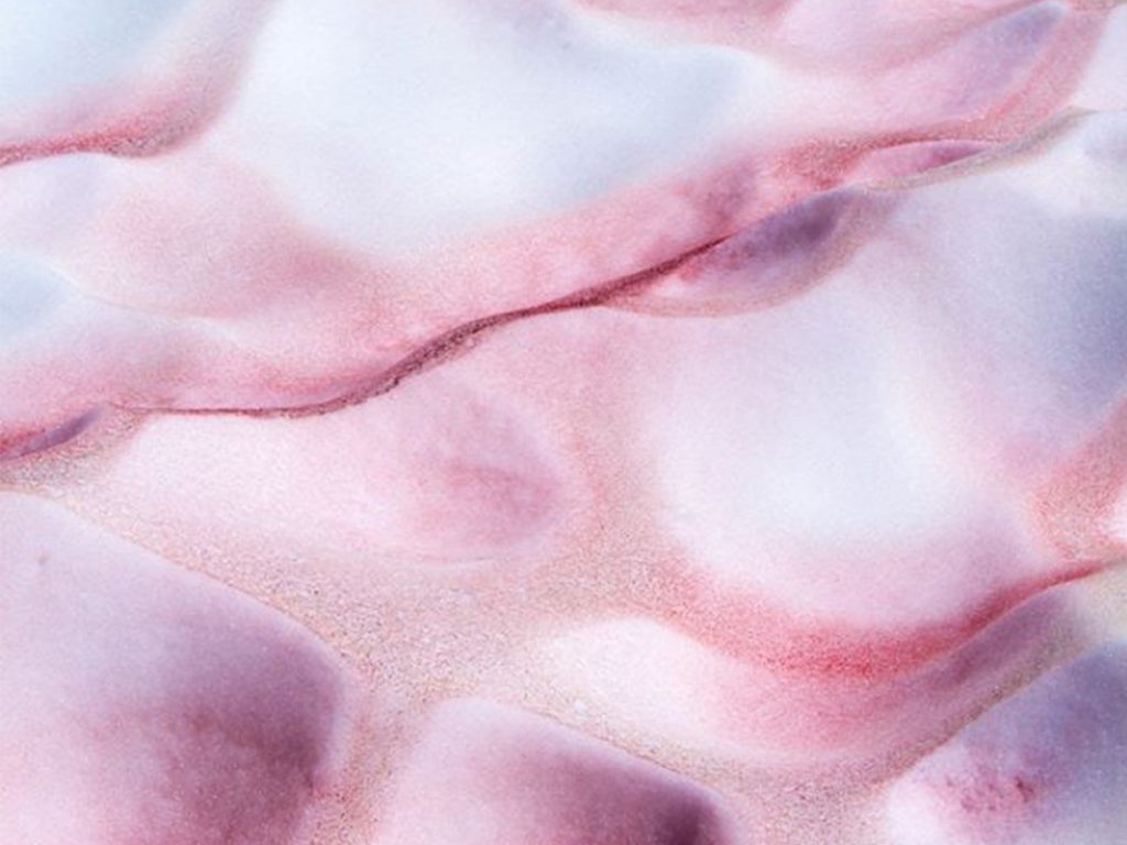 Ever heard of watermelon snow? - The Mountains Magazine - Lebanon