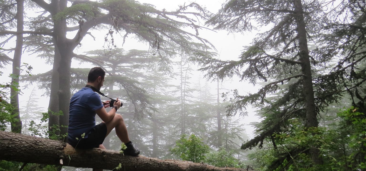 Horsh Ehden Nature Reserve – fall in love with nature - The Mountains ...