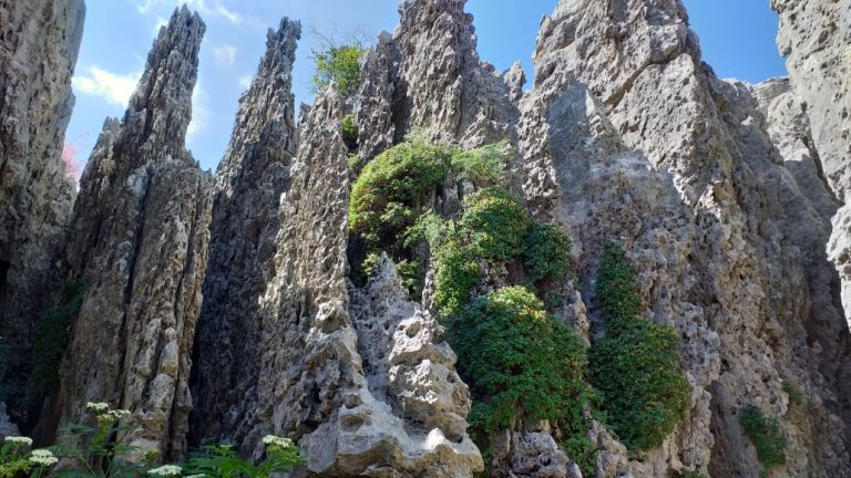 JAJ The Summit - The Mountains Magazine - Lebanon