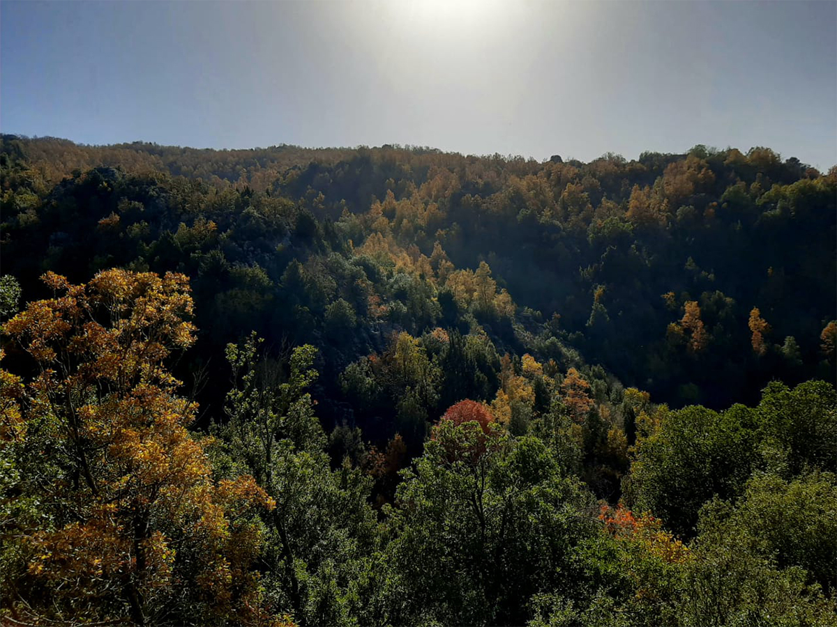 Ehmej the land of an ancient King - The Mountains Magazine - Lebanon