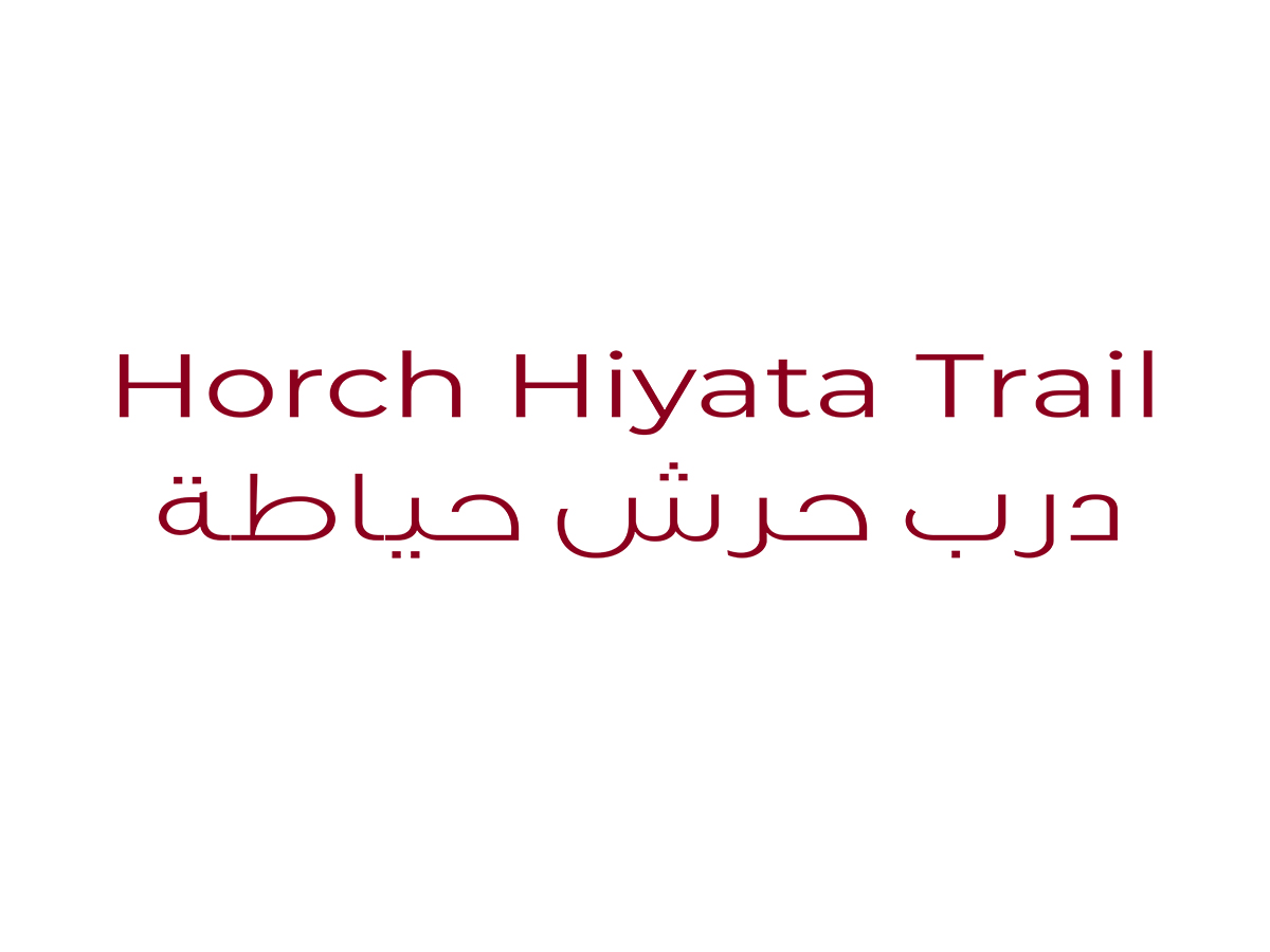Horch Hiyata trails, a unique experience in an untouched region - The ...