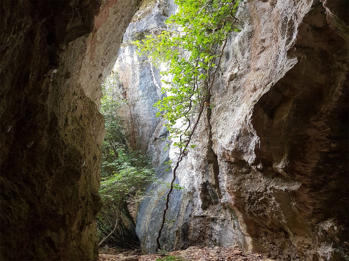 Horch Hiyata trails, a unique experience in an untouched region - The ...