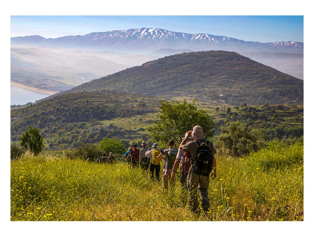 LMT Spring Hike 2021 – reconnect with Lebanon’s nature - The Mountains ...