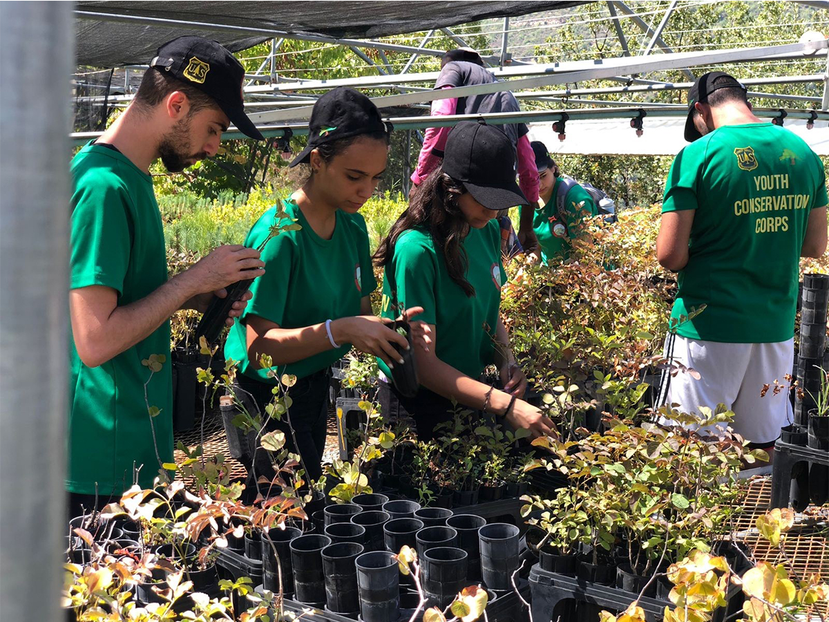 Youth Conservation Corps - The Mountains Magazine - Lebanon