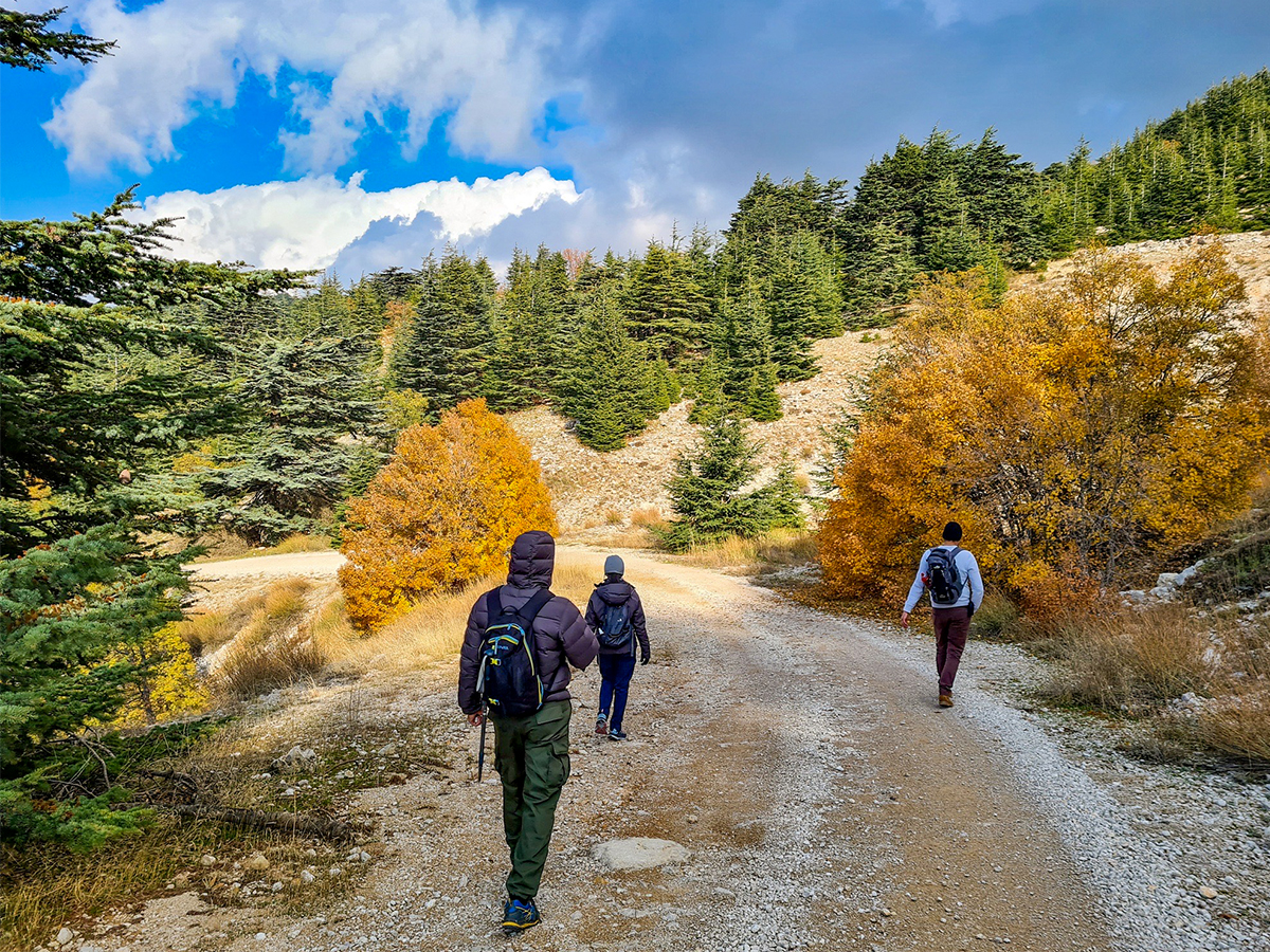 Autumn the best season of all, 14 fun facts!! - The Mountains Magazine ...