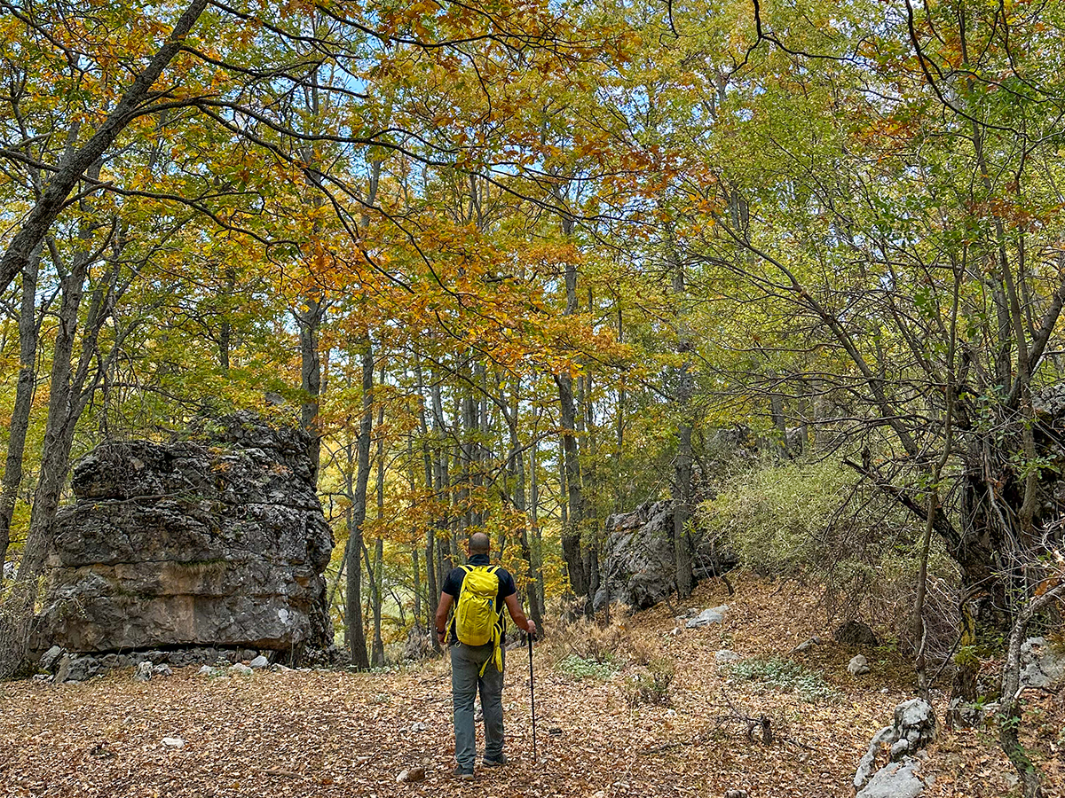 Autumn the best season of all, 14 fun facts!! - The Mountains Magazine ...